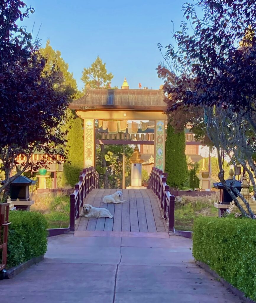 the Pure Land of Ogmin | ウッディヤーナ山タルタン寺